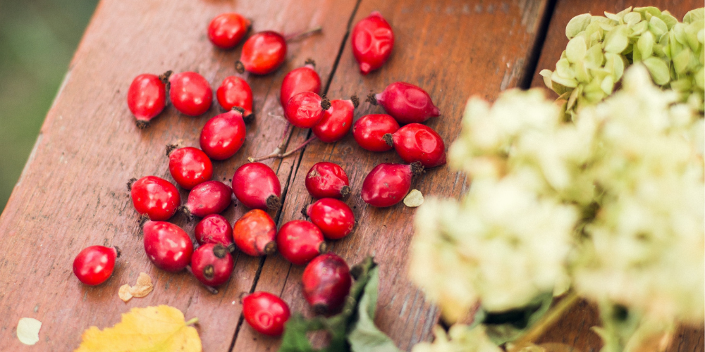6 Health Benefits Of Rosehip – Leapfrog Remedies